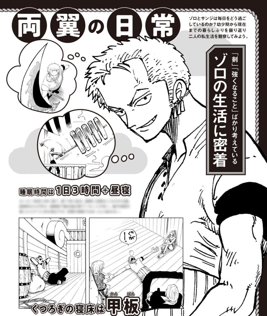One Piece Magazine Vol.18 Sanji & Zoro – La Vaca Japonesa